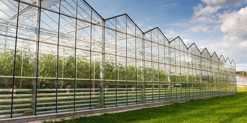 Medición de humedad en invernaderos. » HANNA® instruments Costa Rica